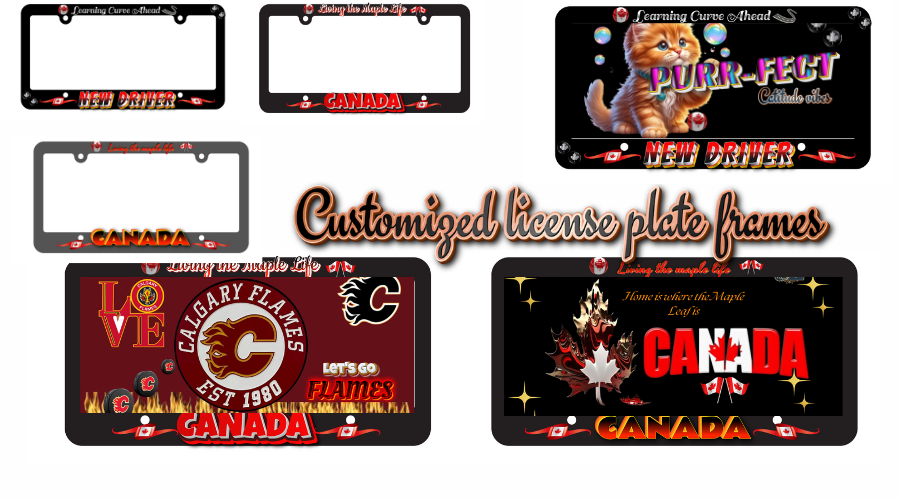 New Driver Branded License Plate Frames Archives - KLRoyal